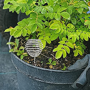 GANAZONO Orchid Fertilizer 10pcs Stainless Steel Succulents Mini Mini Planting Fertilizers Baskets