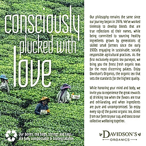 Davidson's Organics, Moringa Mango Peach, 25-count Tea Bags, Pack of 6