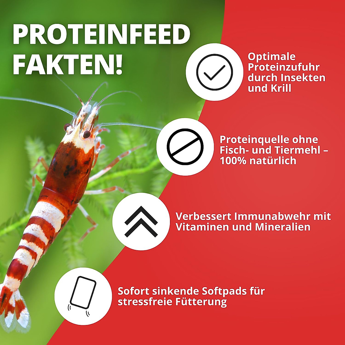 NatureHolic Proteinfeed, Shrimp Food, Protein Food, Made in Germany, Free from Fish Meal & Low-Quality Animal Meals, for Enhanced Shrimp Breeding & Growth
