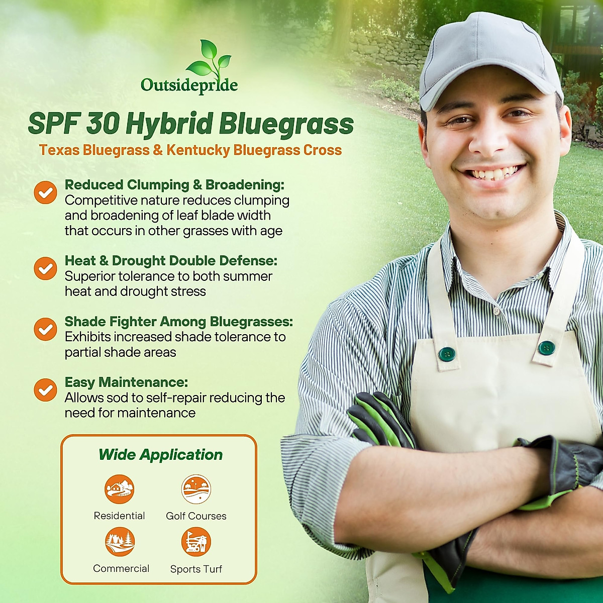 Outsidepride SPF-30 Hybrid Bluegrass Seeds - 5 lbs. Heat & Drought Tolerant, Texas Bluegrass & Kentucky Bluegrass Seed Mix for Challenging Climates, OptiGrowth Coated for Better Establishment