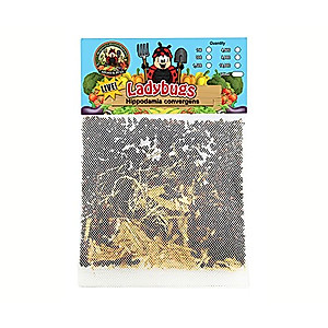 Praying Mantis (5) Egg Cases with Habitat Cup- 5 Egg Cases & 1,500 Live Ladybugs