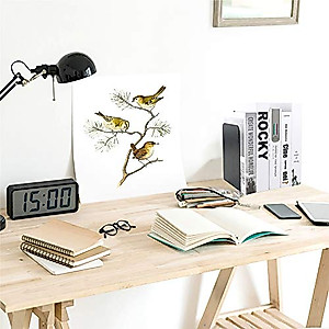 4PCS Black Bookends Heavy Duty Bookends Decorative Metal Cute Bookends for Kids Book Stoppers Holder Pair Organizer Bookshelf Decor Bedroom Library Office School Supplies, Book Shelves