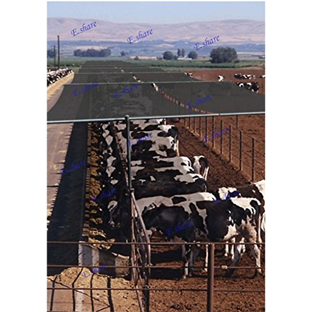 E.share 70% Green Shade Cloth Taped Edge with Grommets 12 ft X 6 ft