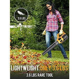 EWORK Cordless Leaf Blower 21V Electric Leaf Blower with (2) 3.0Ah Batteries and Fast Charger, Variable Speed, Turbo Mode, Battery Powered Handheld Leaf Blowers for Lawn Care and Clearance Yard Leaves