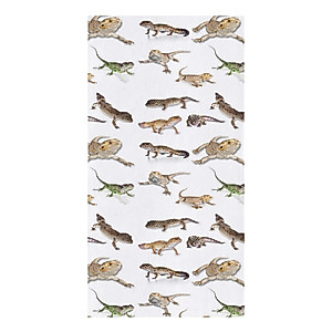 Big buy store Gecko Family Reptile Decor Kitchen Dish Towels, Soft Lightweight Microfiber Absorbent Hand Towel Multi Color Tea Towel for Kitchen Bathroom 18x28in