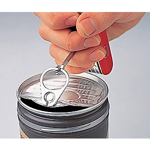 CANIV.SWISSCHAMP SILVER