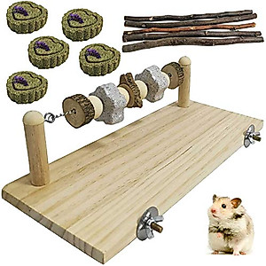 kathson Hamster Wood Ledge Platform Chewing Toys Chinchilla Cage Accessories Guinea Pig Teeth Grinding Lava Blocks Pet Molar Grass Cake Natural Apple Sticks for Mouse Rat Gerbil Dwarf Hamster 11PCS