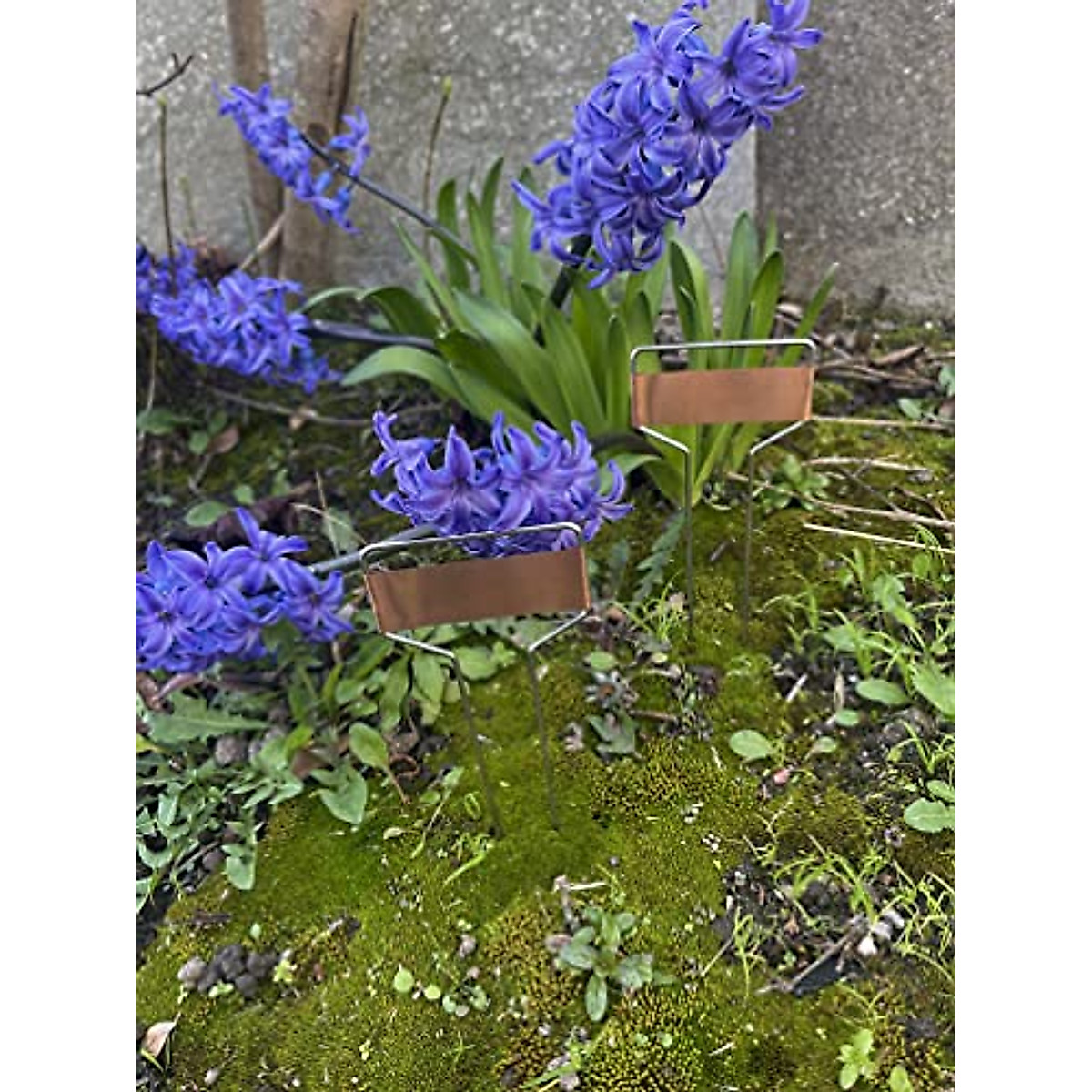 RUAFOX 6 Pack Metal Garden Cloches - 20" High Plant Cover - Weather Resistant Wire Plant Dome - Rustic Farmhouse Chic Decor - with 12 Copper Labels