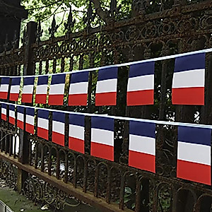 RUIXIA Fabric France Bunting String Flag 5m/16ft Long with 20 Rectangle Flags French Banners Party Decor Patriotic Themed Garland for National Day Wedding Office Home Porch Decoration