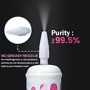 Whipped Cream Charger Cylinder Food Grade Tank Pure whipped cream dispenser 615g Cartridges (6 Cylinder)