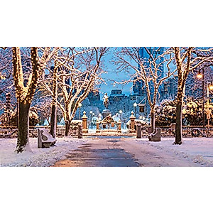 612 Vermont 100 Clear Mini Christmas String Lights on Brown Wire Cord, UL Approved for Indoor/Outdoor Use, 18 Foot of Lighted Length, 20 Foot of Total Length