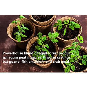 Ocean Forest Potting Soil Mix Indoor Outdoor for Garden and Plants | Plant Fertilizer | 12 Quarts (4 Pack) | The Hydroponic City Stake