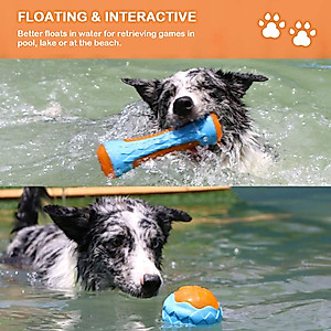 CoubonTail Dog Squeaky Toys Pack 4 Pcs, Pool Toys, Floating Toys for Interactive Fetch & Play, Dog Beach Toy Set, TPR