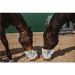 Hemptana Hemp Protein Supersnacks for Horses - Horse Treats to Support Digestive, Cognitive, & Joint Health - Improved Equine Stress Response – High Protein Horse Supplement - (4 lbs)