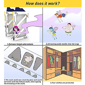 Effective Dual Moth Traps for Clothes and Pantry - Safe and Odor-Free Solution - Premium Pheromone - Pack of 4