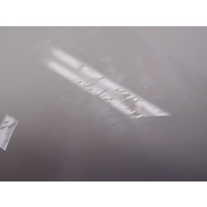 TOTO SS154#11 Traditional SoftClose Elongated Toilet Seat, Colonial White