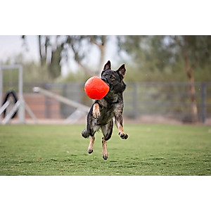 Jolly Pets 8" Soccer Ball, Orange, Large/X-Large