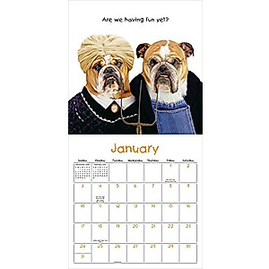 Zelda Wisdom 2021 Wall Calendar