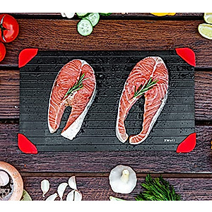 XWell Defrosting Tray for Faster Food De-Icing. Eco-Friendly, Food-Grade Aluminum Thawing Plate Without The Necessity of Microwave or Hot Water. Large Size, Big Enough to Satisfy The Whole Family