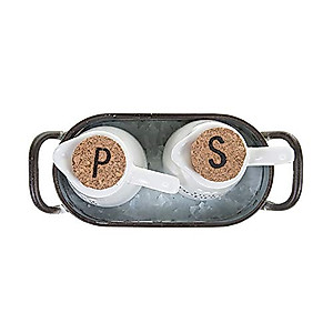 Mud Pie Farmhouse Inspired Ceramic Aluminum Salt and Pepper Caddy Set, One size, White