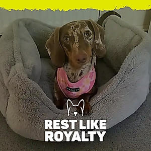 NANDOG Super Cloud Reversible Pet Bed in Light Grey - Ultra Soft Micro Plush Fabric - Cozy & Modern Design - Perfect for Cats & Small/Medium Dogs