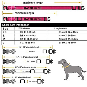Personalized Dog Collar - Reflective Custom Embroidered with Pet Name and Phone Number for Boy and Girl Dogs, 4 Adjustable Sizes, XSmall,Small, Medium and Large