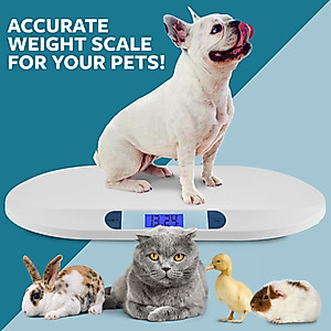 Smart Weigh Comfort Baby Scale, 44 Pound Capacity, 3 Weighing Modes, Accurate Digital Scale for Infants, Toddlers, and Babies