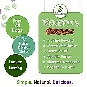 Nature Gnaws Braided Bully Sticks for Dogs - Premium Natural Beef Bones - Long Lasting Dog Chew Treats for Small and Medium Breeds - Rawhide Free - 6 Inch (3 Count)