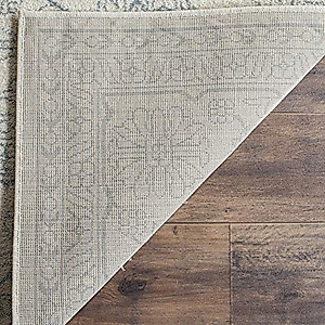 SAFAVIEH Adirondack Collection 8' x 10' Ivory / Silver ADR108B Oriental Medallion Non-Shedding Living Room Bedroom Dining Home Office Area Rug