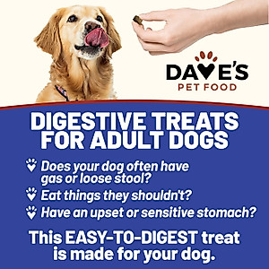 Dave's Pet Food Sweet Potato & Pumpkin Dog Treats for Sensitive Stomachs, Semi-Moist Soft & Digestive Friendly, Made in USA, Senior, Small & Large Dogs, Gut Health (1 Pack)
