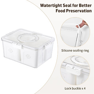 Lnrueg Airtight Fresh Produce Containers for Fridge - 4 Compartments with Handle, Berry Containers for Fridge, BPA-Free Fresh Produce Saver & Refrigerator Organizer Bins