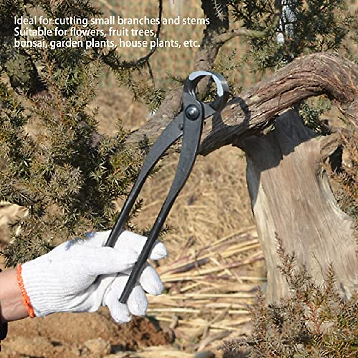 MIGONG Bonsai Knob Cutter, Professional Branch Cutter Manganese Branch Cutting Tool for Even Flowers Fruit Trees Bonsai Garden Plants House Plants 8.3In