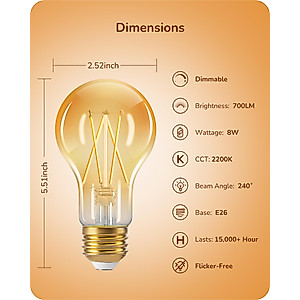EDISHINE Vintage LED Edison Bulbs 8W, 60W Equivalent, 2200K Amber Warm Light, ST58 Antique Edison Light Bulb with 80+ CRI, A19 Dimmable Light Bulbs, 700LM, E26 Medium Base, 6 Pack