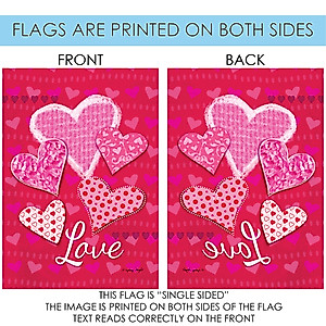 Toland Home Garden 1010058 Whole Lotta Love Valentine Flag 28x40 Inch Double Sided Valentine Garden Flag for Outdoor House Valentines Day Flag Yard Decoration