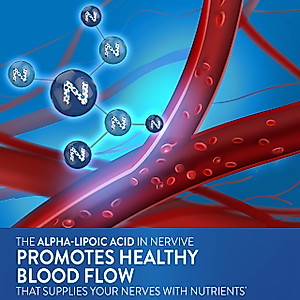 Nervive Nerve Health, with Alpha Lipoic Acid, to Fortify Nerve Health and Support Healthy Nerve Function in Fingers, Hands, Toes, & Feet*, ALA, Vitamins B12, B6, & B1, 30 Daily Tablets