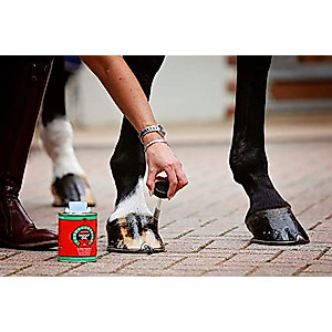 Carr & Day & Martin Tea Tree Hoof Oil 500ml