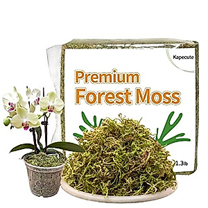 Kapecute 1.3 lb Natural Forest Moss Brick for Potted Plants, Good Orchid Potting Mix, Perfect for Reptile Terrarium Bedding, Indoor and Outdoor Garden Decor