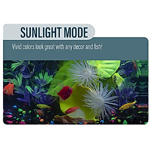 GloFish Aquarium Kit Fish Tank with LED Lighting and Filtration Included