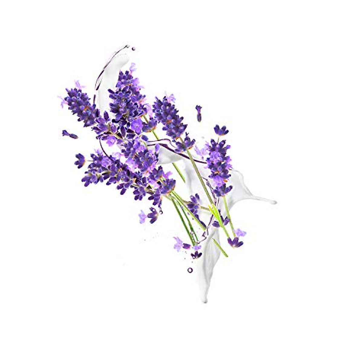 Dove Whipped Lavender and Coconut Milk Body Cream 10 oz