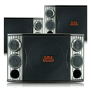 EMB KTV800 800W 10" 3-Way Karaoke Speaker KTV with Bass Reflex | Type Bass Refiex Type: System 3-Way, 5 Speakers | Tweeters/squawkers Set on Both Sides - (2 Speakers)