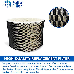 Fette Filter - HWF75 Replacement Wicking Filter Compatiable with Holmes Filter D HWF75 HWF75CS HWF75PDQ-U HF222 & Sunbeam Cool Mist Humidifier Models 3000 Series. Pack of 2