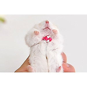 UEETEK Adjustable Hamster Harness Leash and Collar Walking for Hamster Cricetulu Rat Mouse Squirrel Small Pets Flexible Handle Rope 2M (Random Color)