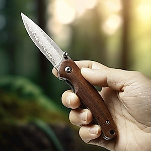 BARRYSAIL Damascus Small Pocket Knife, Folding Knife with 2.4 Inch Blade, Liner Lock, Wood Handle for EDC, Outdoor Camping, Survival