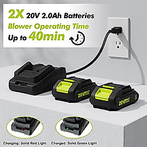 LAZYBOI Cordless Leaf Blower with 2 Batteries