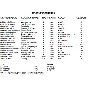 Non GMO Bulk Northeast Wildflower Seed Mix (1 Lb)