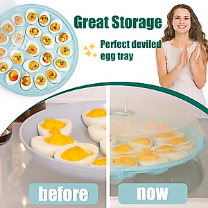 HAKSEN Deviled Egg Tray with Lid, Deviled Egg Platter Container Carrier 22 Slots for Refrigerator Home Kitchen Supplies