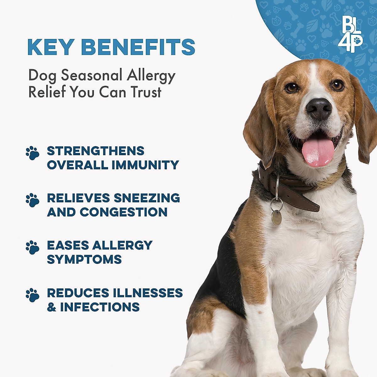 Dog Allergy Relief & Immune Support - Natural Holistic Itch Relief for Dogs, Immune System Guard and Allergy Support, Including Seasonal Allergies, Sneezing, Runny Nose and Itching - 400 Small Pills