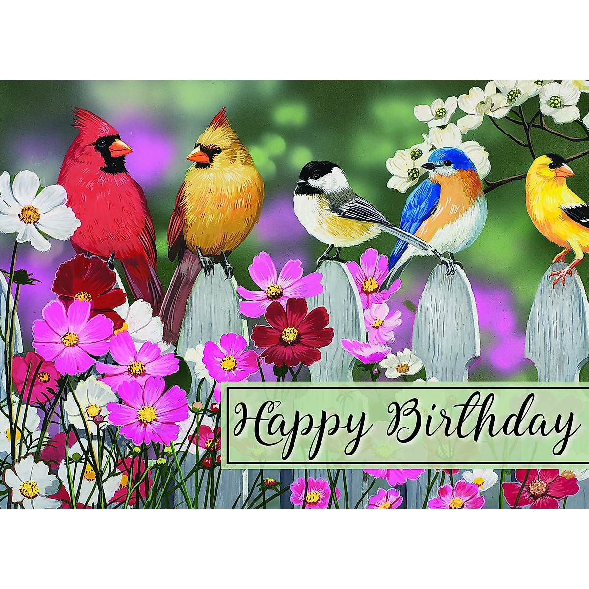 Crown Point Graphics Shared Blessings Birthday Birds 12 Boxed Birthday Cards, Beautiful Birds with KJV Scripture, Art by William Vanderdasson