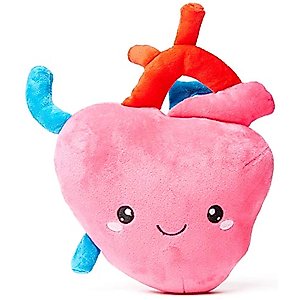 nerdbugs Heart Plush - I Aorta to Tell You How Much I Love You!- Adorable, Cute and Funny Cardiology Heart Plush/ Health Educational Gift/ Heart Surgery Gift/ Heart attack gift