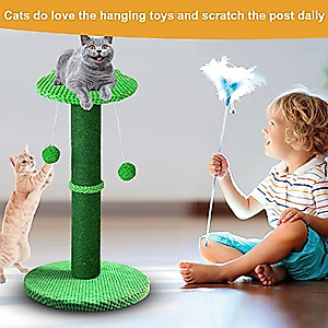 Cat Scratching Post Sisal Cat Tree Cactus Cat Scratcher, Scratching Posts for Indoor Cats Kitten, Cute Tall Cat Scratch Post with Perch to Protect Furniture, 2 Dangling Ball Toys, Stable Cat Stand